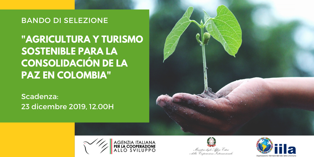 Selección de un Coordinador Técnico Local (Bogotá- Colombia) para el ...