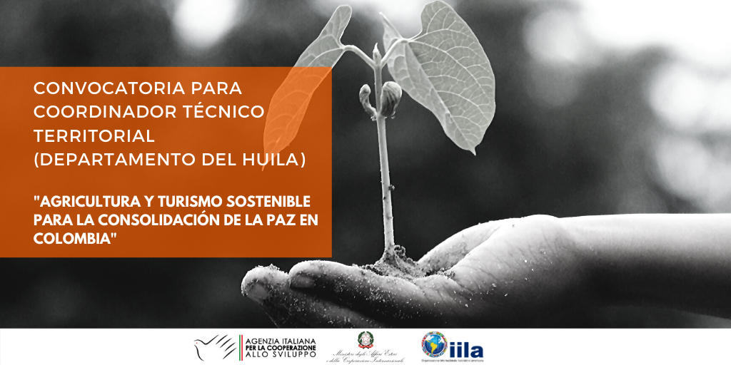 Selección de un coordinador técnico territorial (Departamente del Huila ...