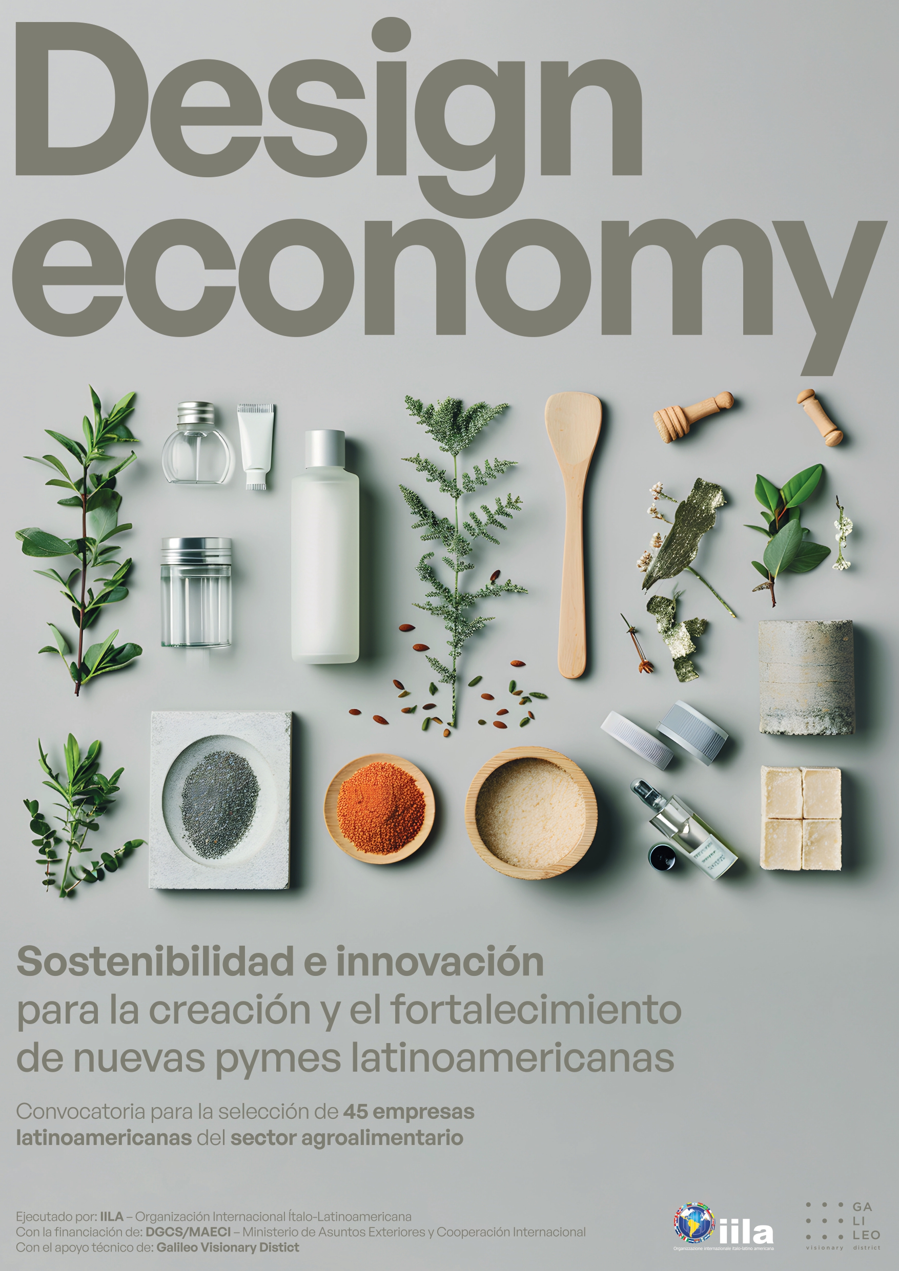 Design Economy – Sostenibilidad e Innovación para PYMES ...